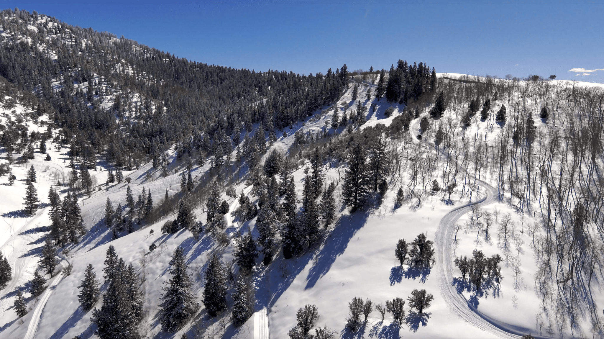 Snow Groomer for Skiing and Snowboarding - Snow Groomers: Nordic ...